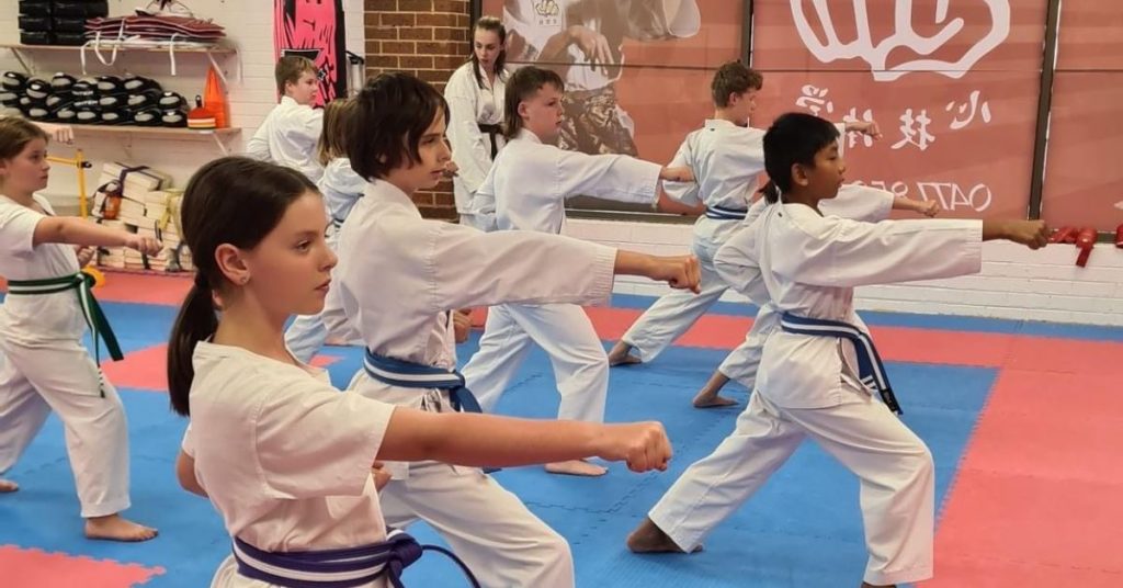 Different Types of Martial Arts Styles: Why Choose Karate?